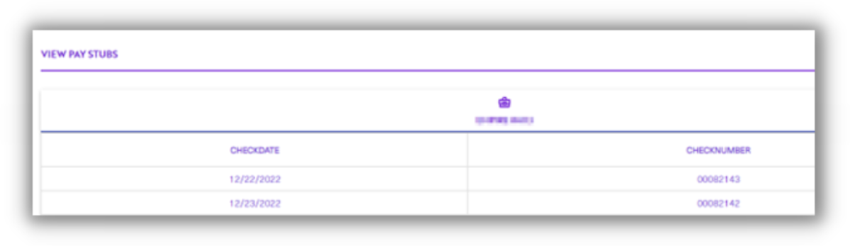 Employee Portal Instructions for W2 & Paystub Access – Back Office